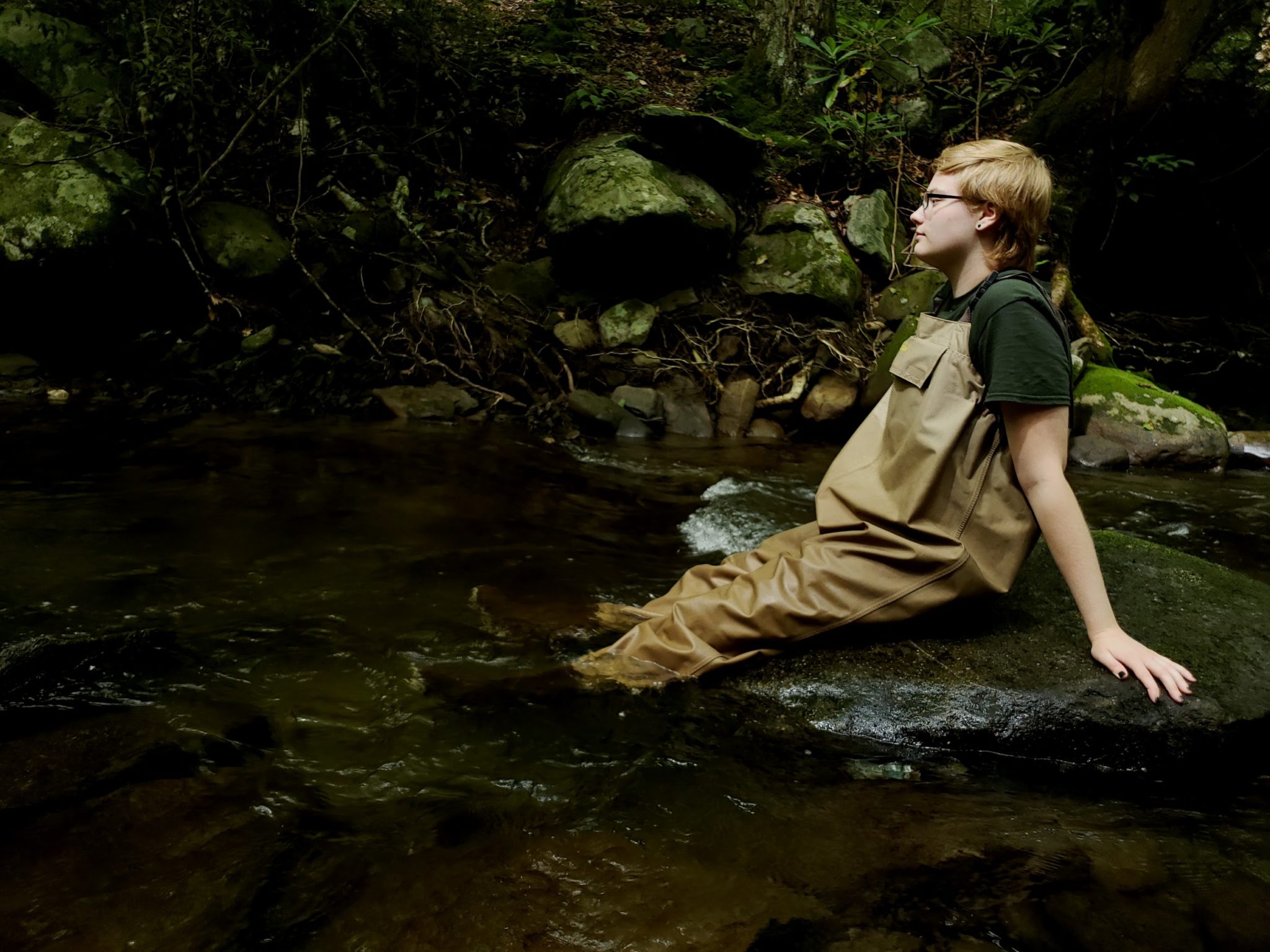 GSMNP high school interns learn about Park, explore NPS career ... GSMNP high school interns learn about Park, explore NPS career ...